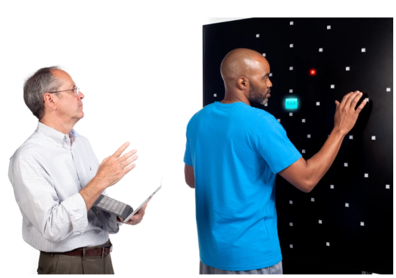 What is the D2? – Dynavision International